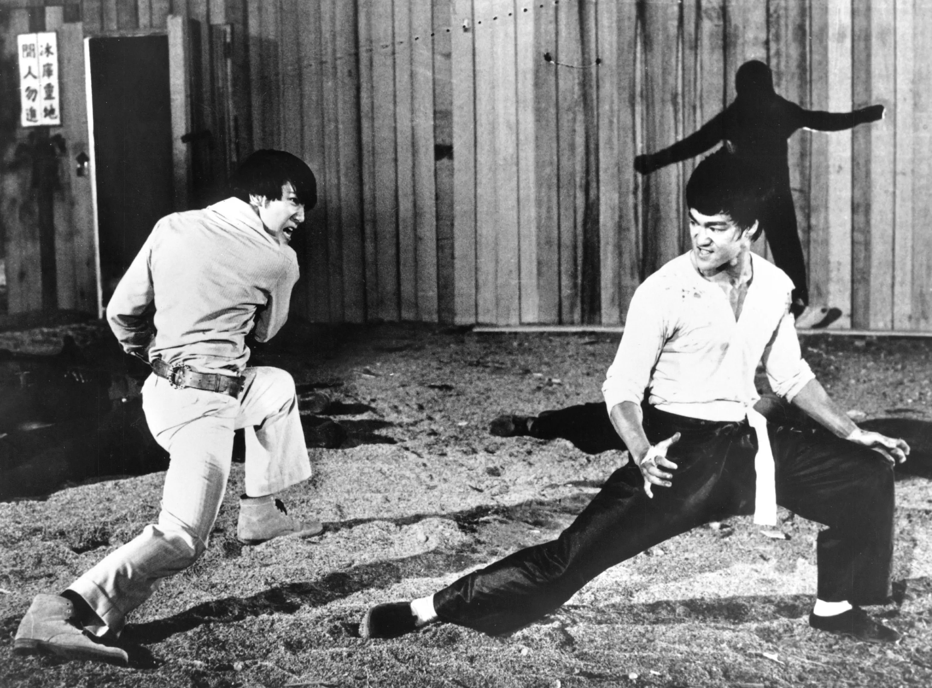 bruce lee - velký šéf