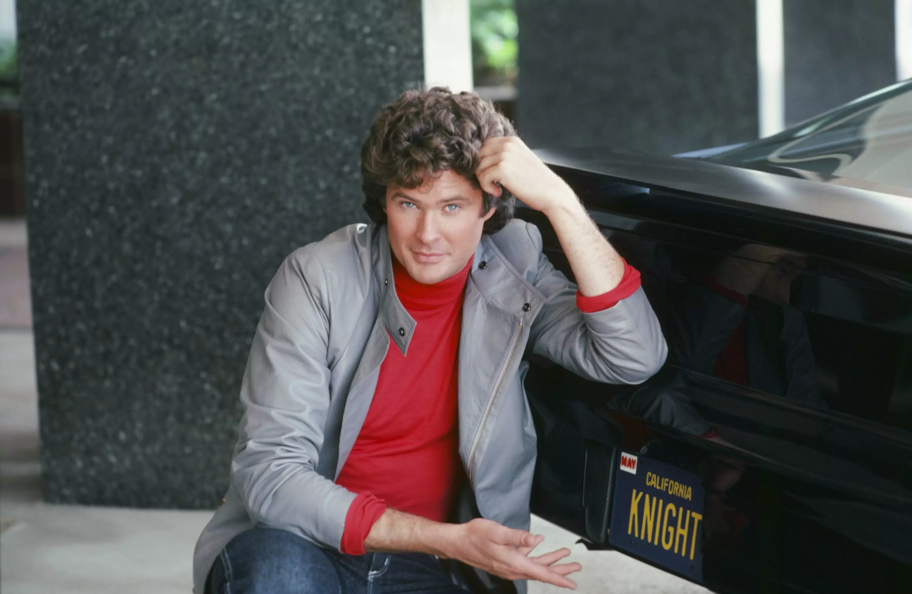 David Hasselhoff