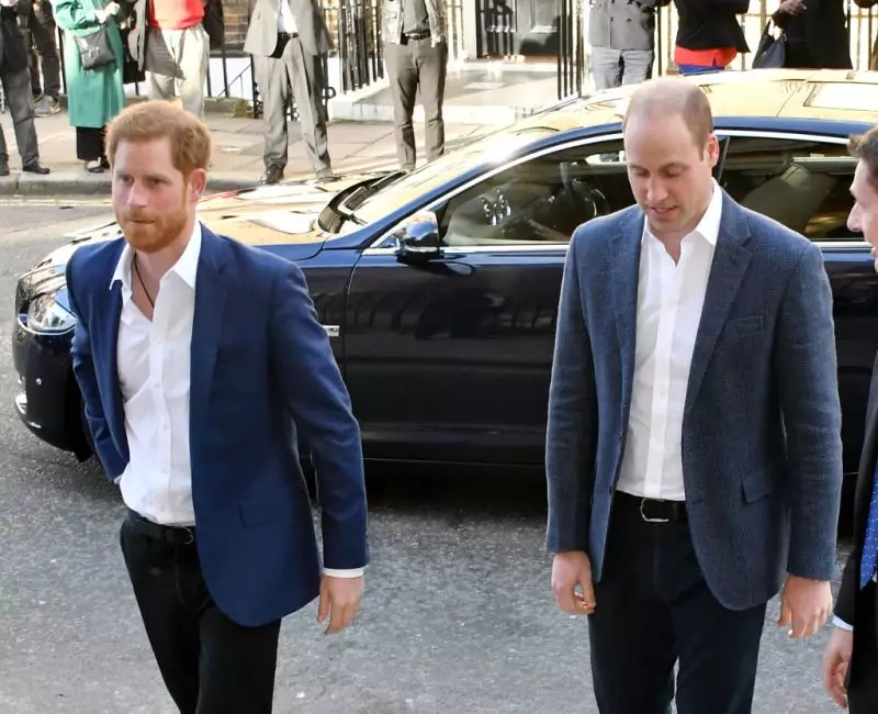 Putera Harry dan Putera William