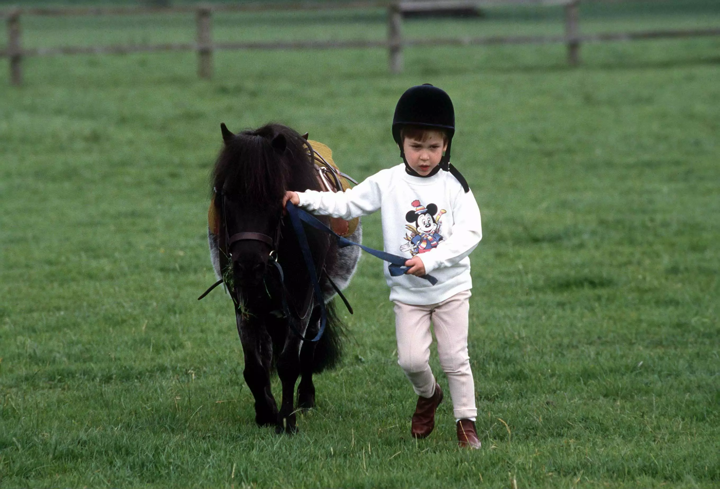 Royal-kids-ponies