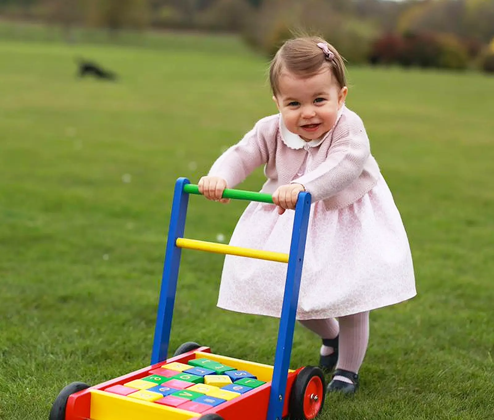 Prinsesse Charlottes første fødselsdag