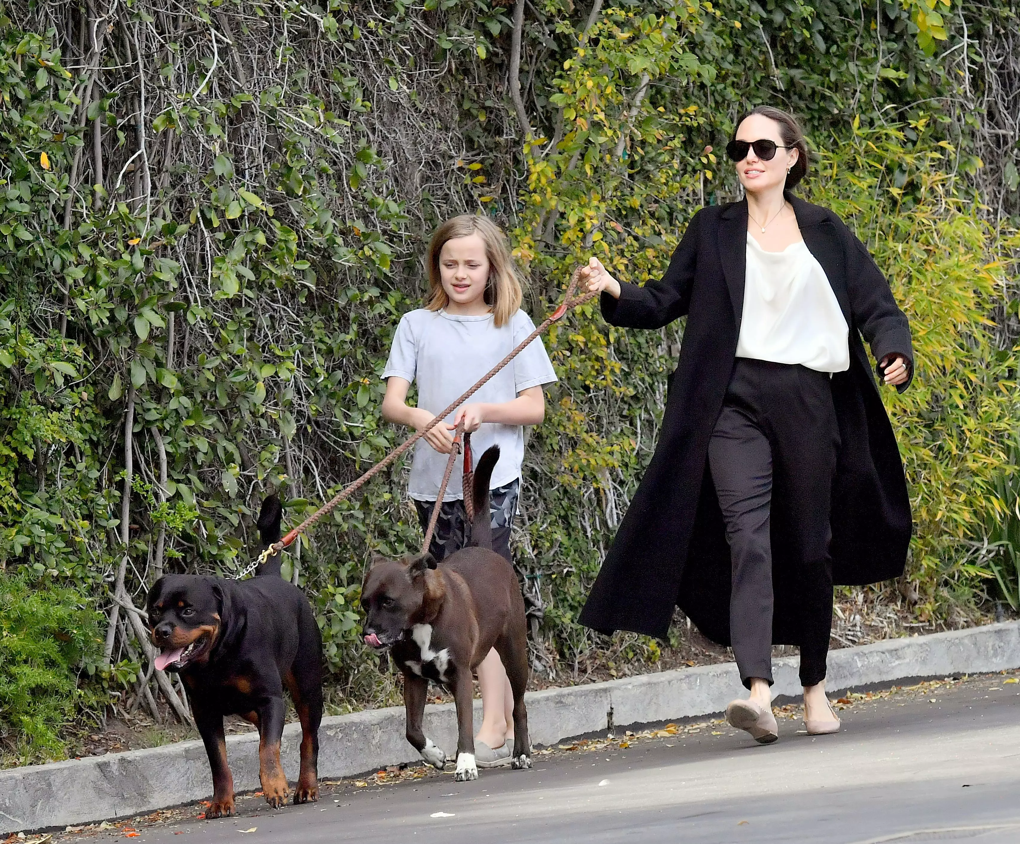 Angelina Jolie ir dukra Vivienne, kai jos išeina iš naminių gyvūnėlių priežiūros salono Los Andžele, buvo traukiamos šunų.