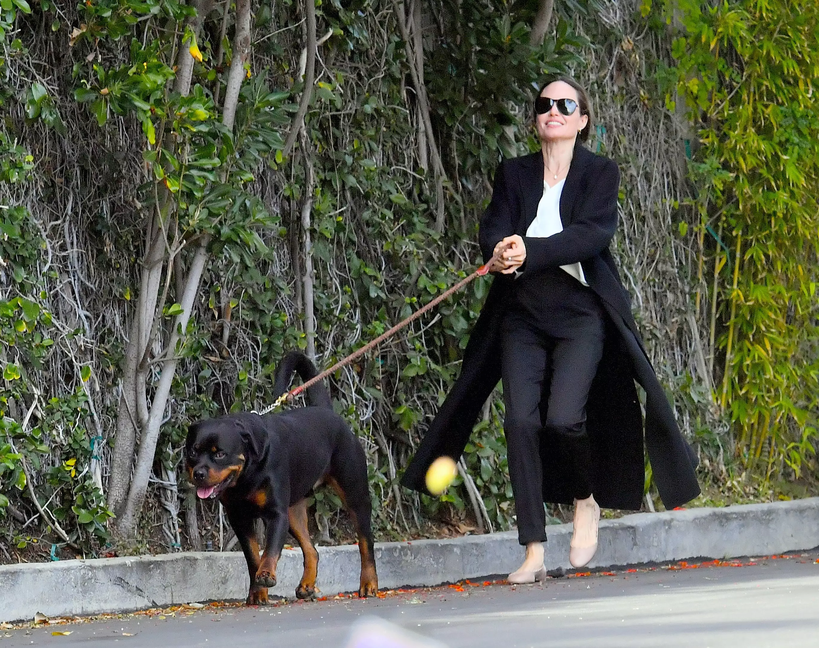 Angelina Jolie a dcéra Vivienne sú videné, ako ich psy ťahajú, keď opúšťajú salón v Los Angeles.