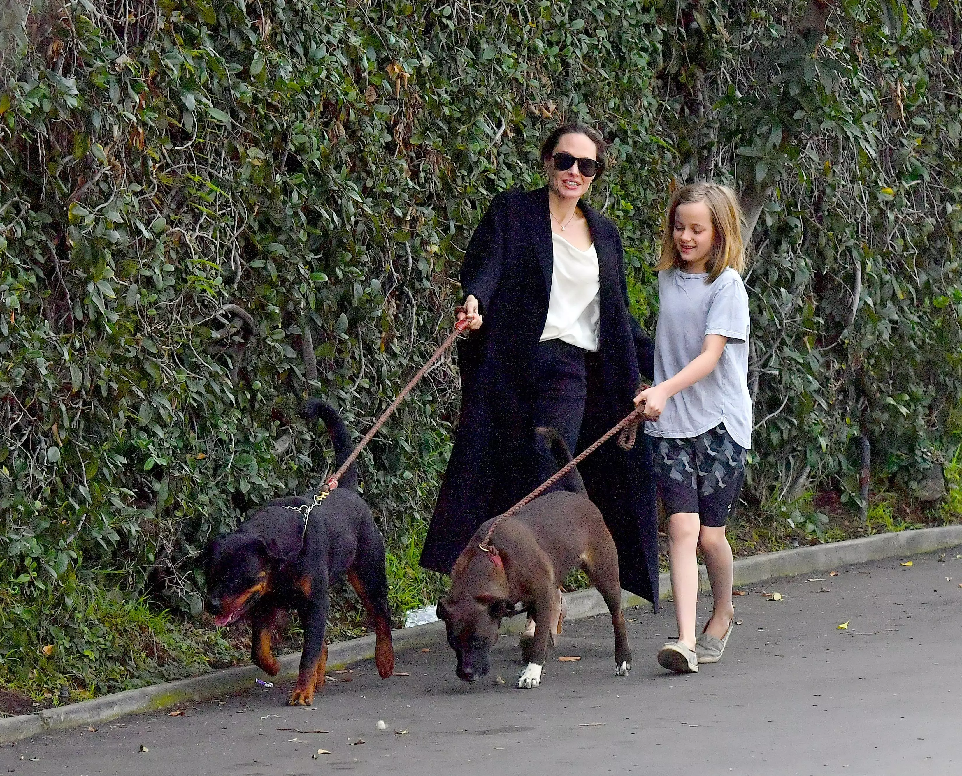 Angelina Jolie och dottern Vivienne ses dras av sina hundar när de lämnar en djurvårdssalong i Los Angeles