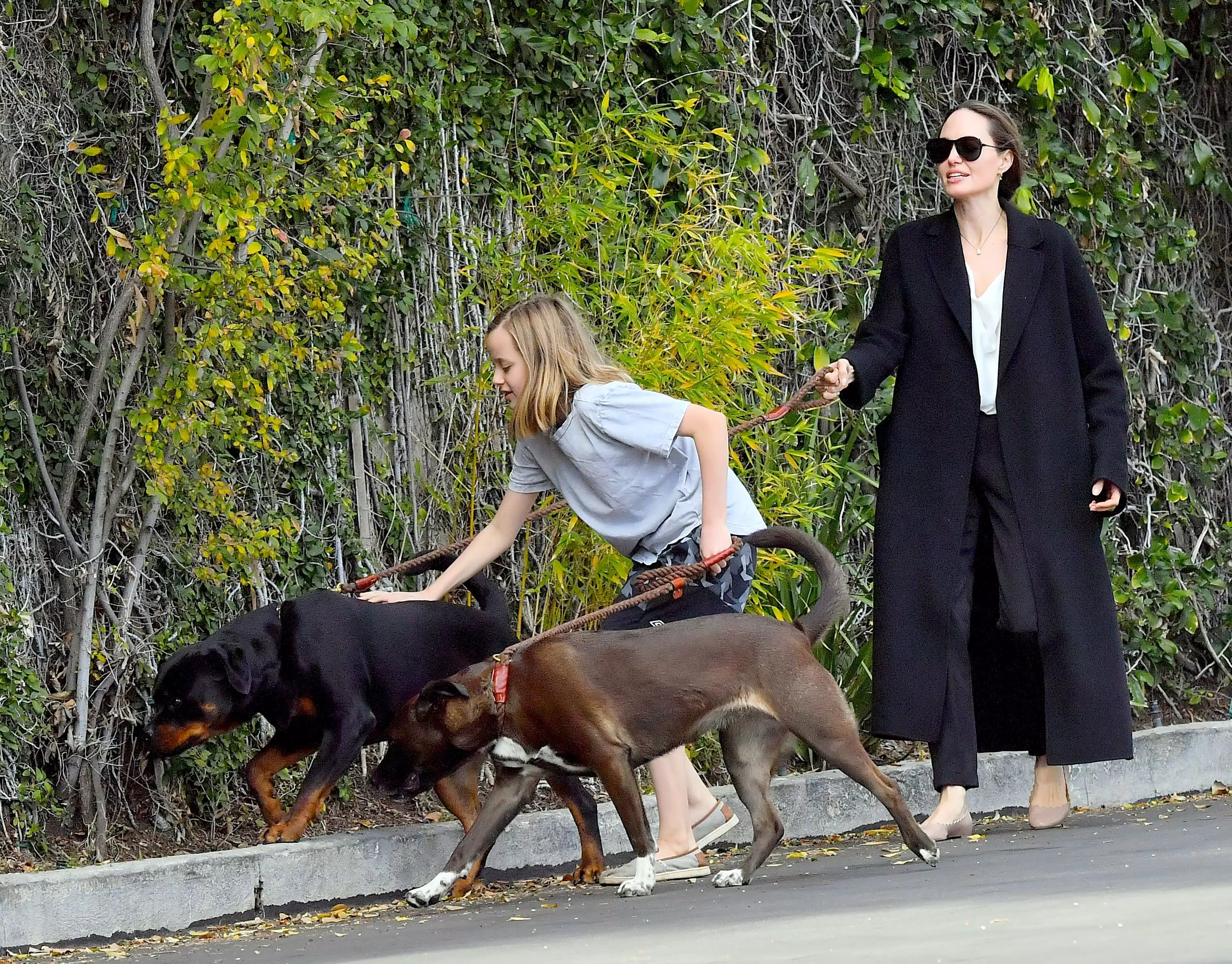 Angelina Jolie sareng putri Vivienne katingal ditarik ku anjing-anjingna nalika ninggalkeun salon dandan piaraan di Los Angeles