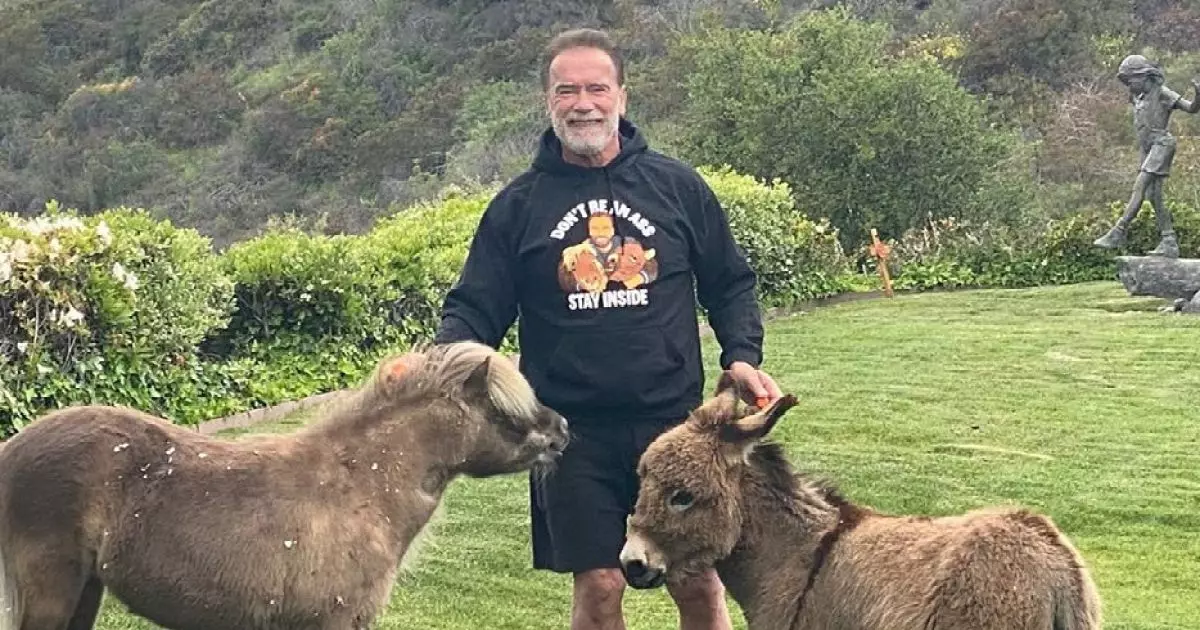 Arnold Schwarzenegger Fa'asoa Vitio Galulue Faatasi ma Pet Donkey Lulu